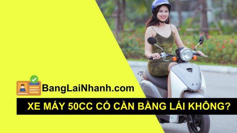 Xe máy 50CC có cần bằng lái không? – Trung tâm Học Lái Vui Thầy Trường: Dạy và học bằng lái xe Ô ...